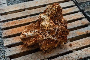 Products | Phillips Land Improvement Center